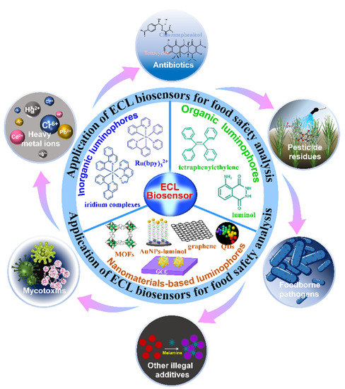 Biosensors | Free Full-Text | Nanomaterials-Based ...