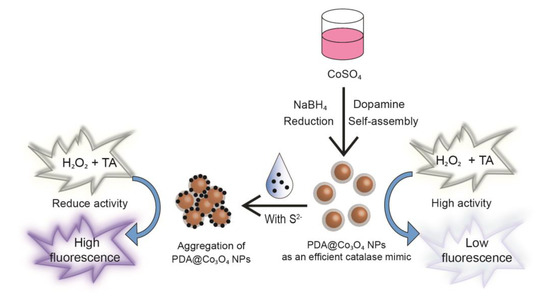 Polydopamine-Coated Co3O4 Nanoparticles as an Efficient Catalase Mimic ...
