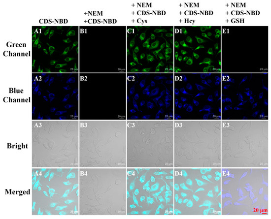 Biosensors | Free Full-Text | Dual Response Site Fluorescent Probe for Highly Sensitive ...