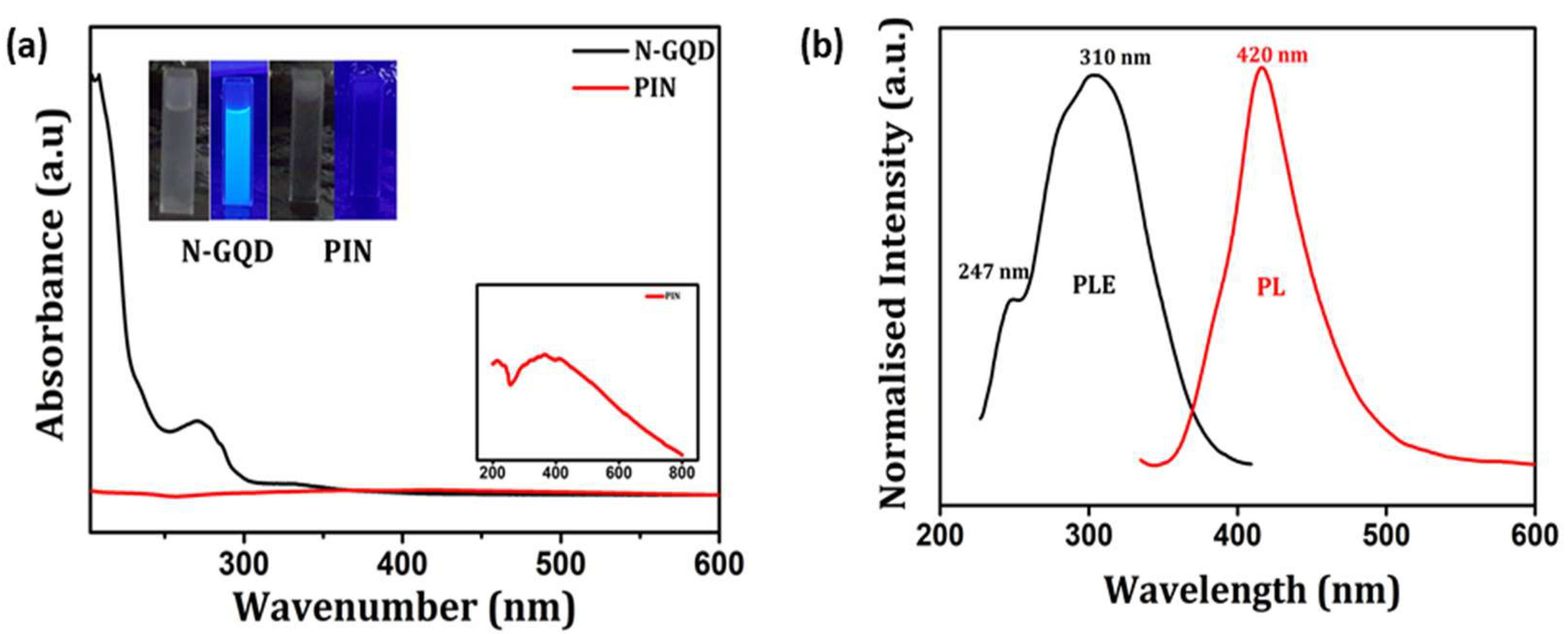 Polyindole-Derived Nitrogen-Doped Graphene Quantum Dots-Based ...