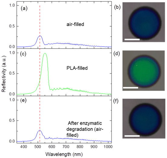 Bare Eye Detection of Bacterial Enzymes of Pseudomonas aeruginosa with ...