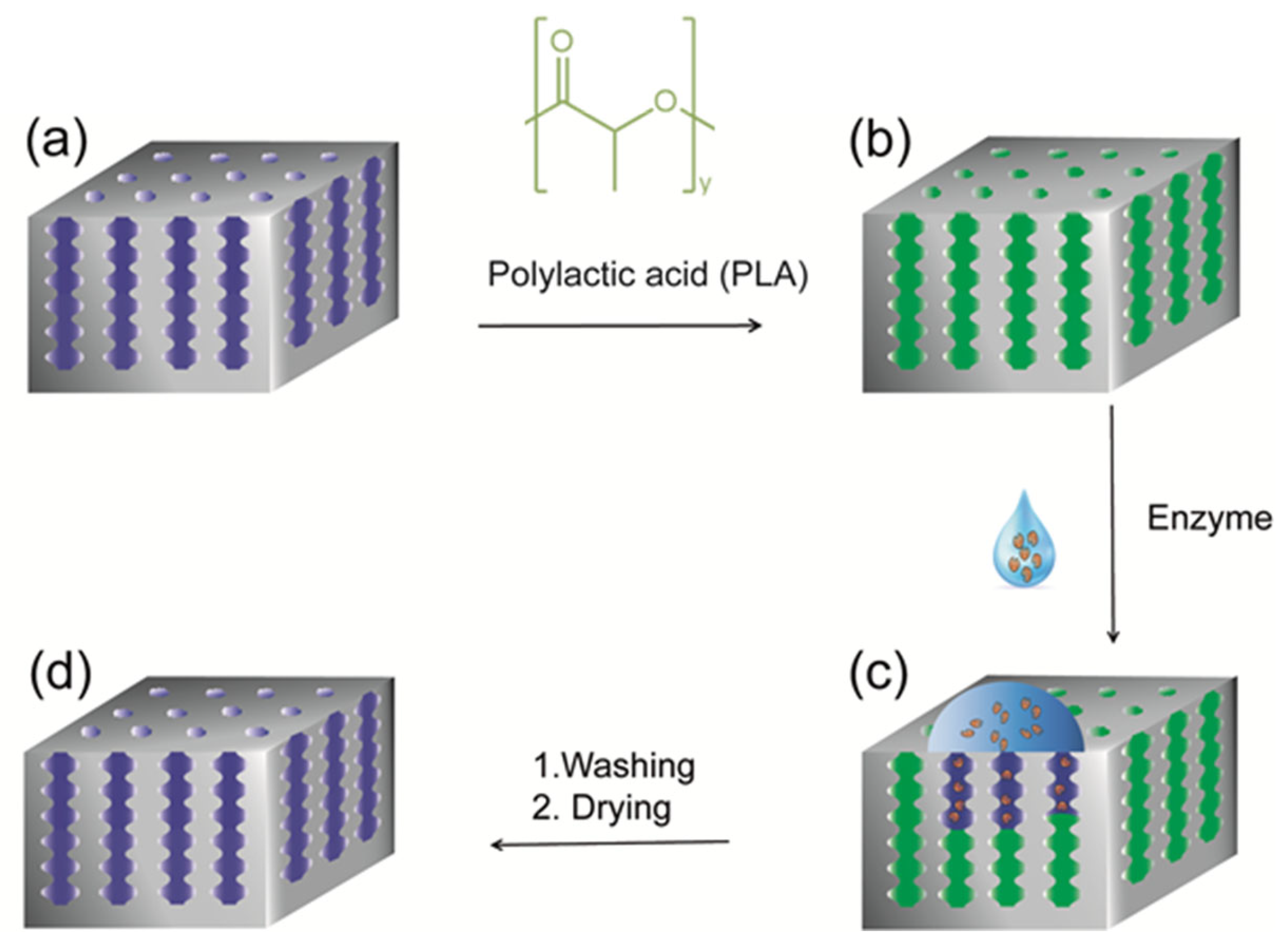 Bare Eye Detection of Bacterial Enzymes of Pseudomonas aeruginosa with ...