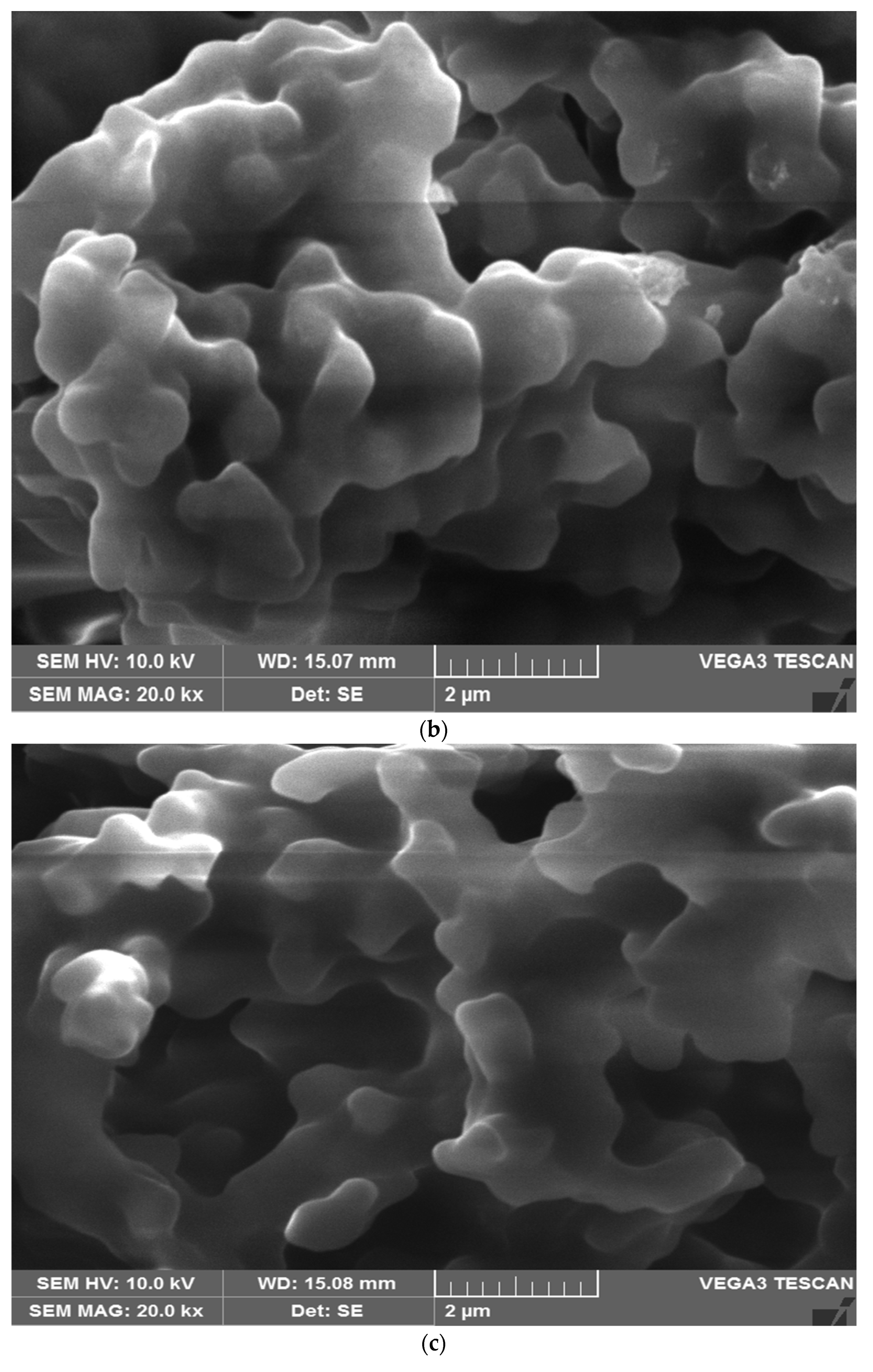 Fabrication of a Molecularly Imprinted Nano-Interface-Based ...