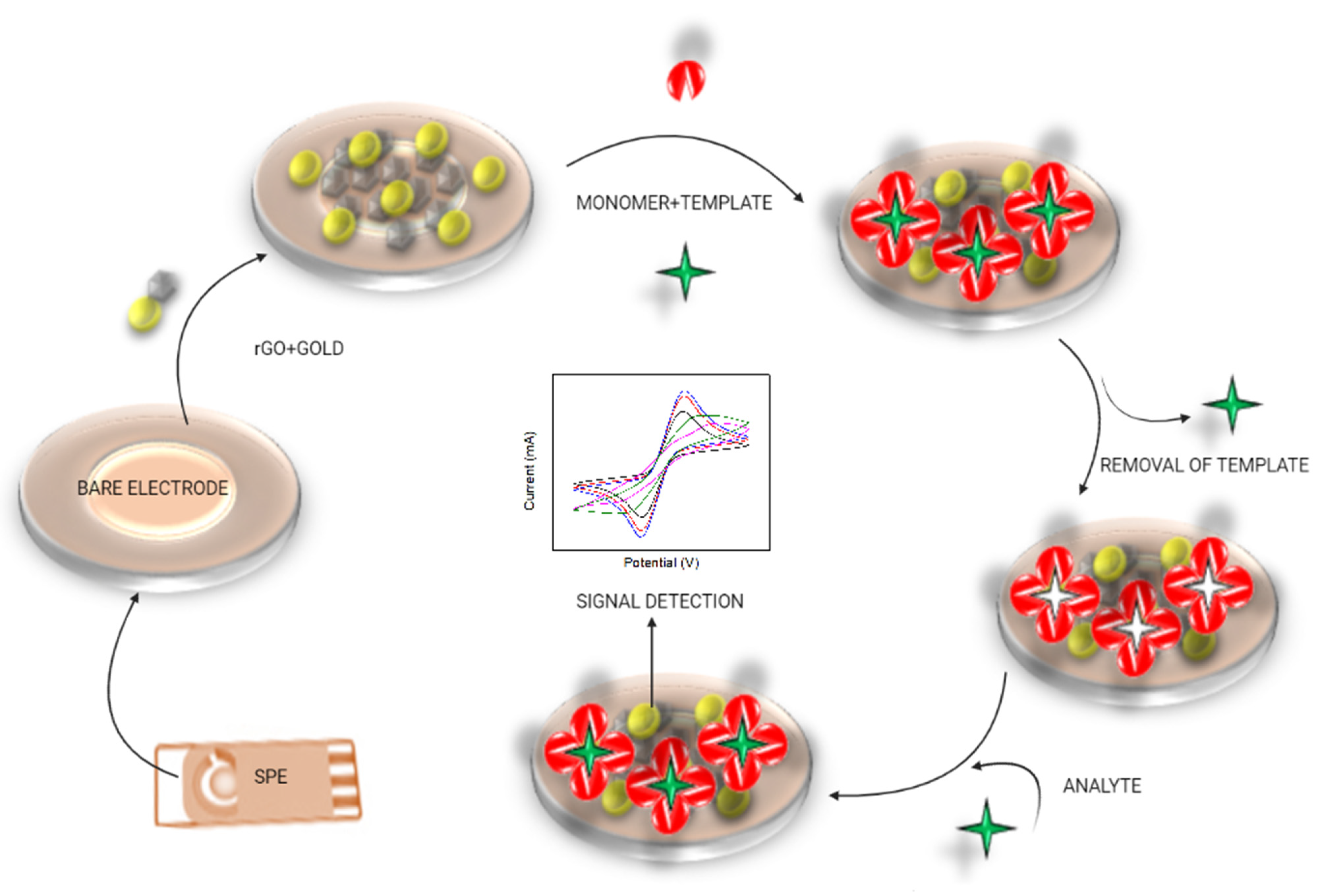 Fabrication of a Molecularly Imprinted Nano-Interface-Based ...