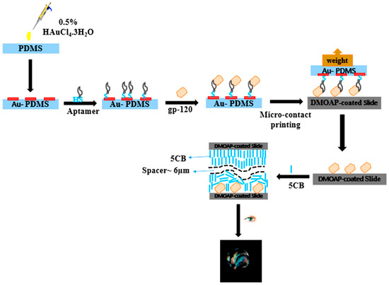 Aptamer-Based Gold Nanoparticles–PDMS Composite Stamps as a Platform ...