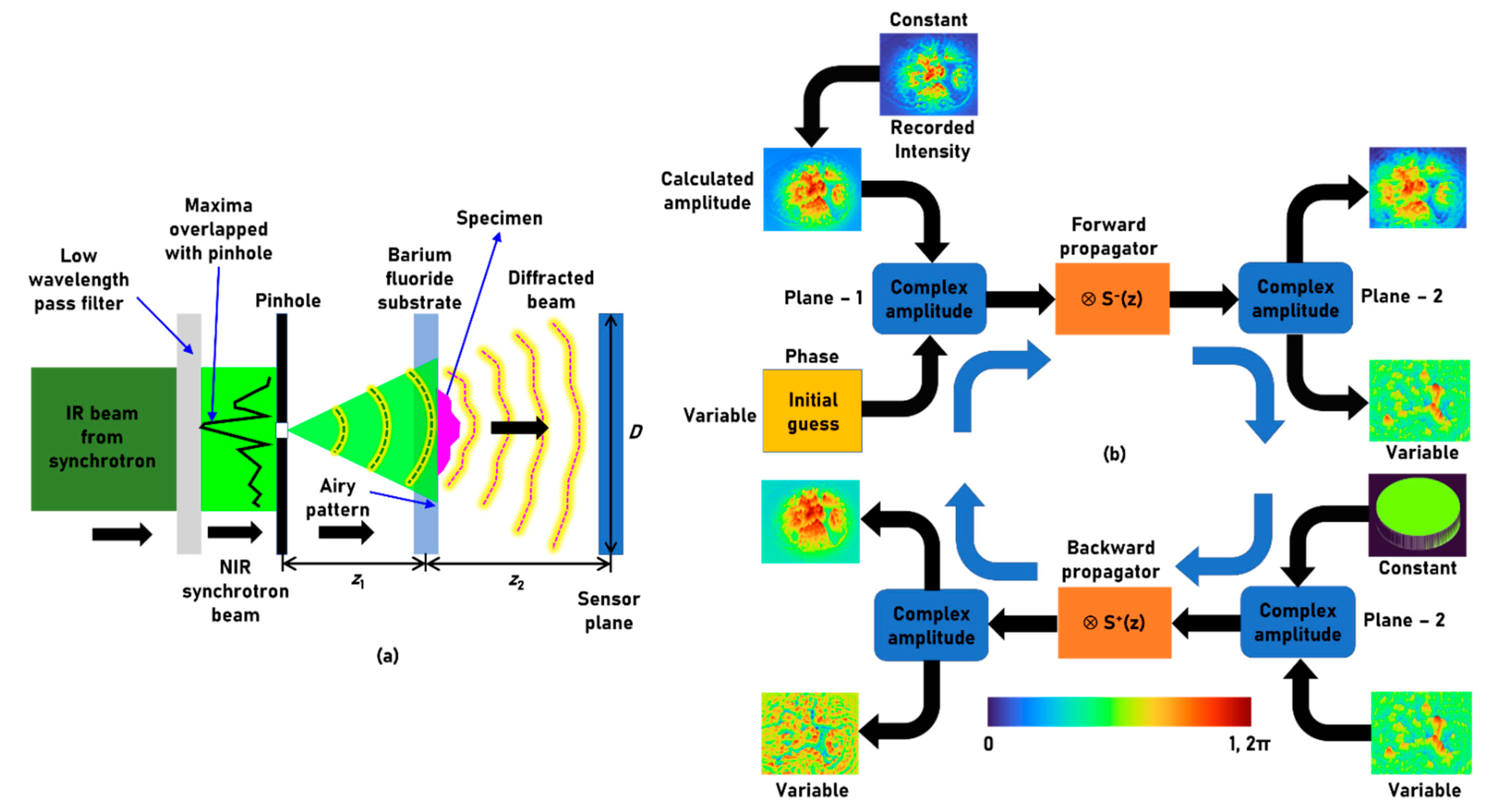 Single Shot Lensless Interferenceless Phase Imaging of Biochemical Samples Using Synchrotron ...