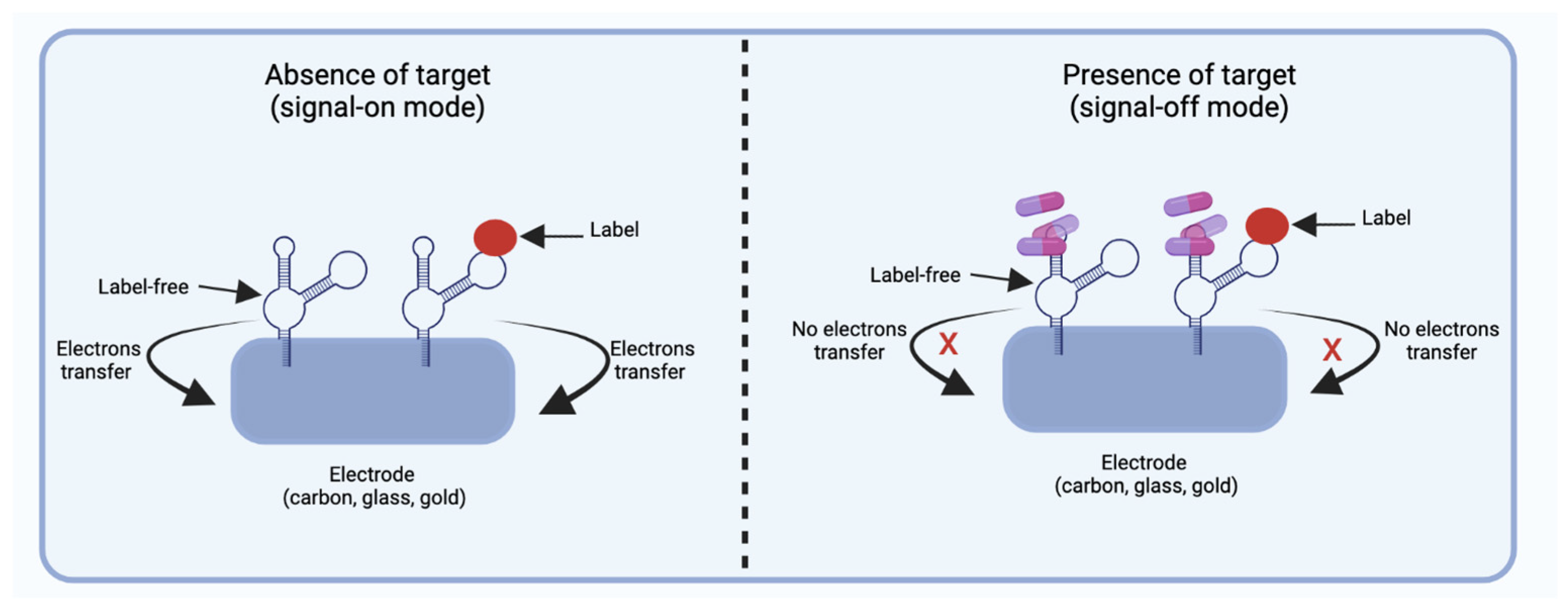 Detection of Emerging Pollutants Using Aptamer-Based Biosensors: Recent ...