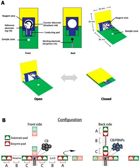 Paper-Based Electrochemical Biosensors for Food Safety Analysis