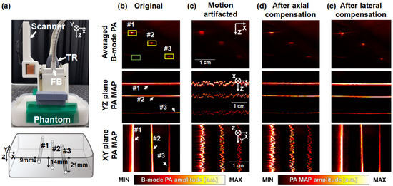 Biosensors | Free Full-Text | Motion Compensation for 3D Multispectral ...