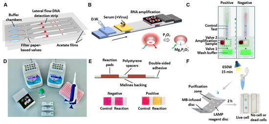 Paper-Based Biosensors for the Detection of Nucleic Acids from Pathogens