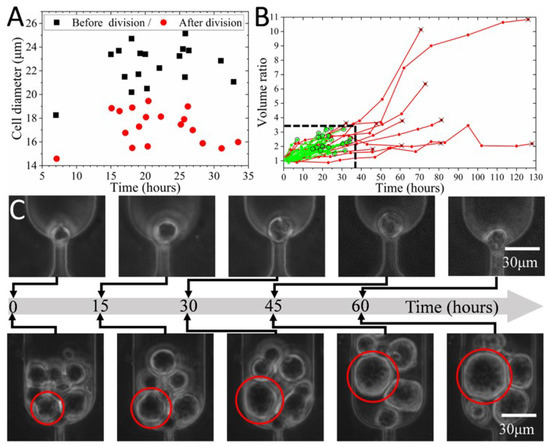Size-Based Sorting and In Situ Clonal Expansion of Single Cells Using Microfluidics