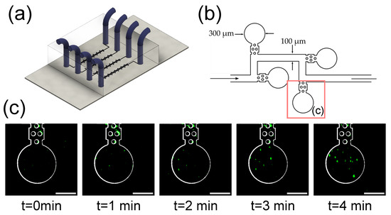 Single Plane Illumination Microscopy for Microfluidic Device Imaging