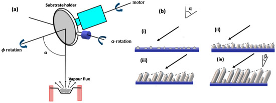 GLAD Based Advanced Nanostructures for Diversified Biosensing ...