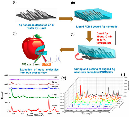 GLAD Based Advanced Nanostructures for Diversified Biosensing ...