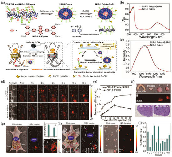 Recent Advances of NIR-II Emissive Semiconducting Polymer Dots for In ...