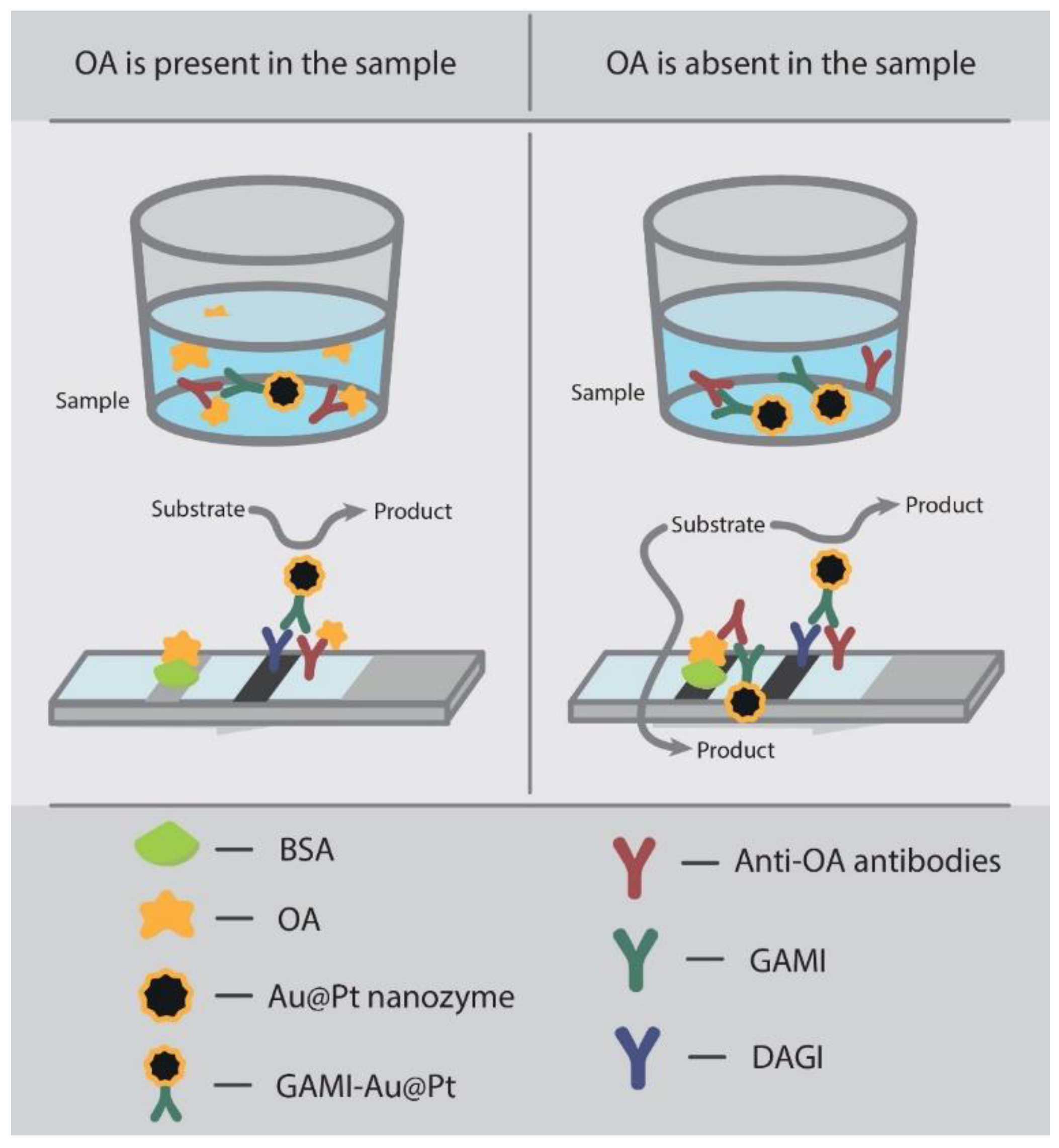 Application of Au@Pt Nanozyme as Enhancing Label for the Sensitive ...