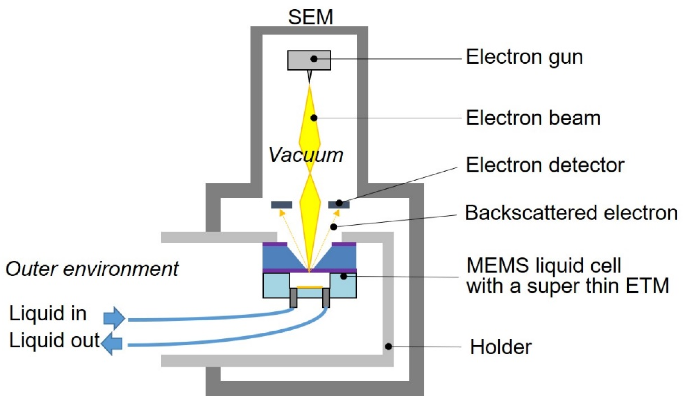 Microfluidic Liquid Cell with Silicon Nitride Super-Thin Membrane for ...