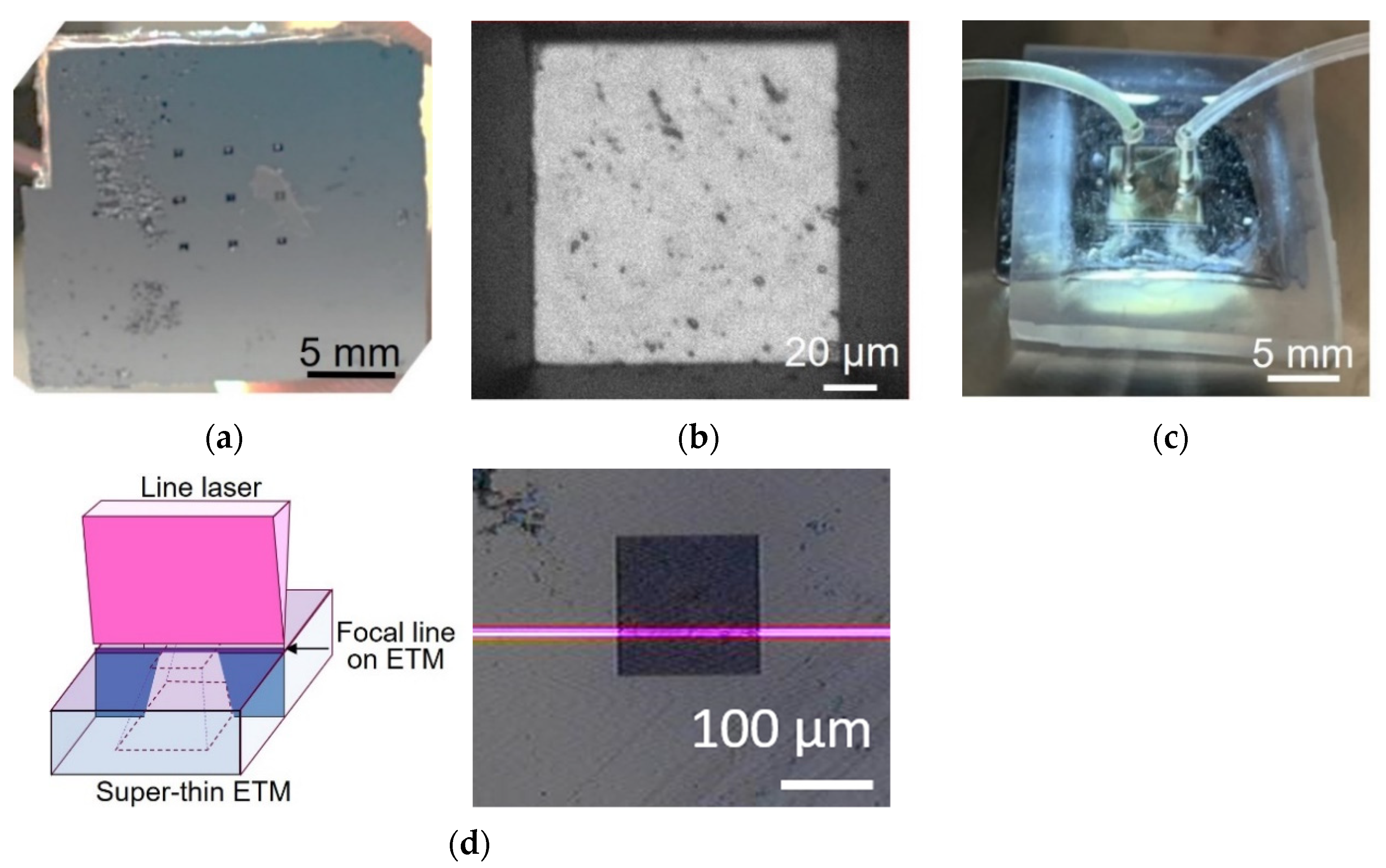Microfluidic Liquid Cell with Silicon Nitride Super-Thin Membrane for ...