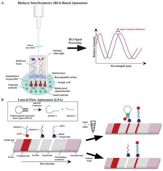 Capture-SELEX: Selection Strategy, Aptamer Identification, and ...