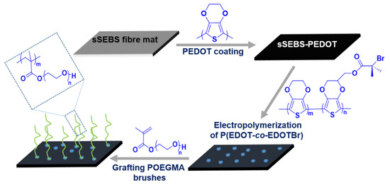 Conducting Polymer-Infused Electrospun Fibre Mat Modified by POEGMA ...