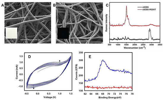 Conducting Polymer-Infused Electrospun Fibre Mat Modified by POEGMA ...