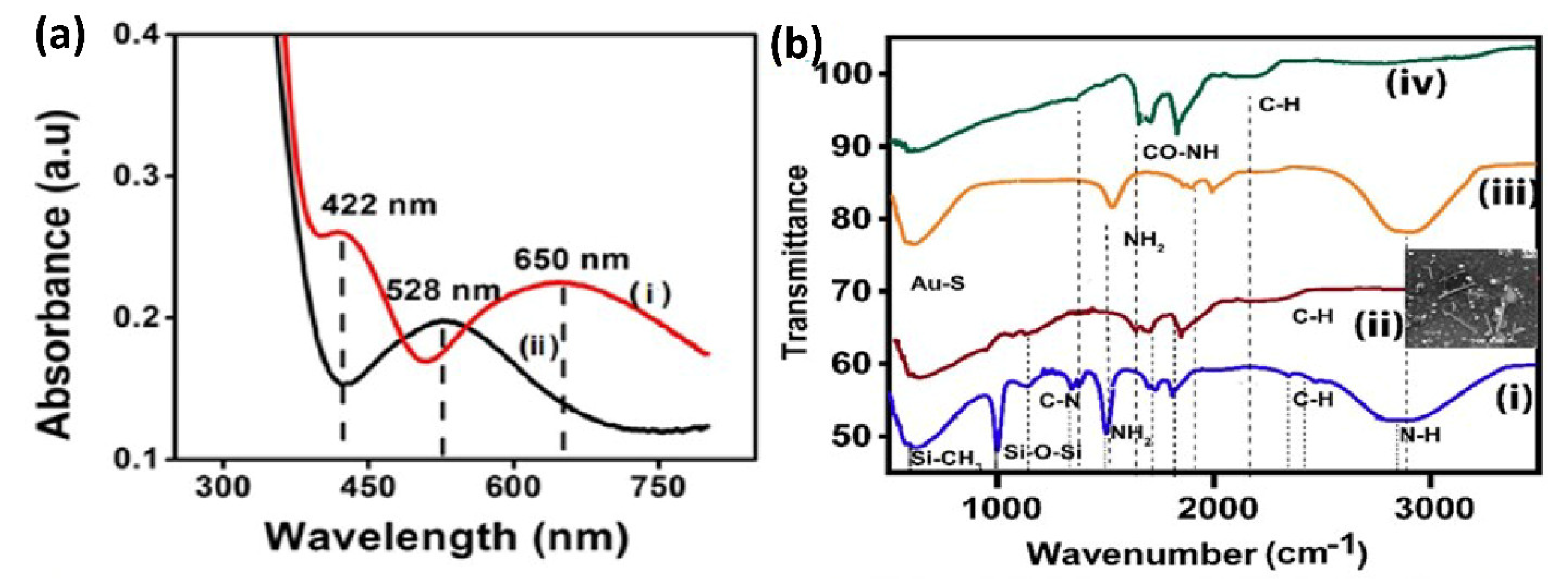 Biosensors | Free Full-Text | Template Free Anisotropically Grown Gold ...