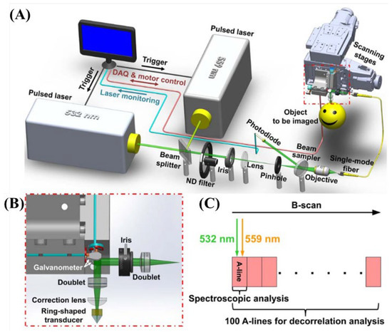 Optical Light Sources and Wavelengths within the Visible and Near ...