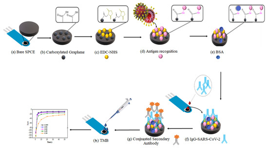 An Electrochemical Immunosensor Based on Carboxylated Graphene/SPCE for ...