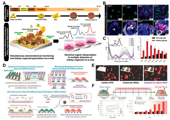 Recent Advances in Electrochemical Biosensors for Monitoring Animal ...
