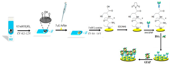 Ultrasensitive Determination of Glial-Fibrillary-Acidic-Protein (GFAP ...