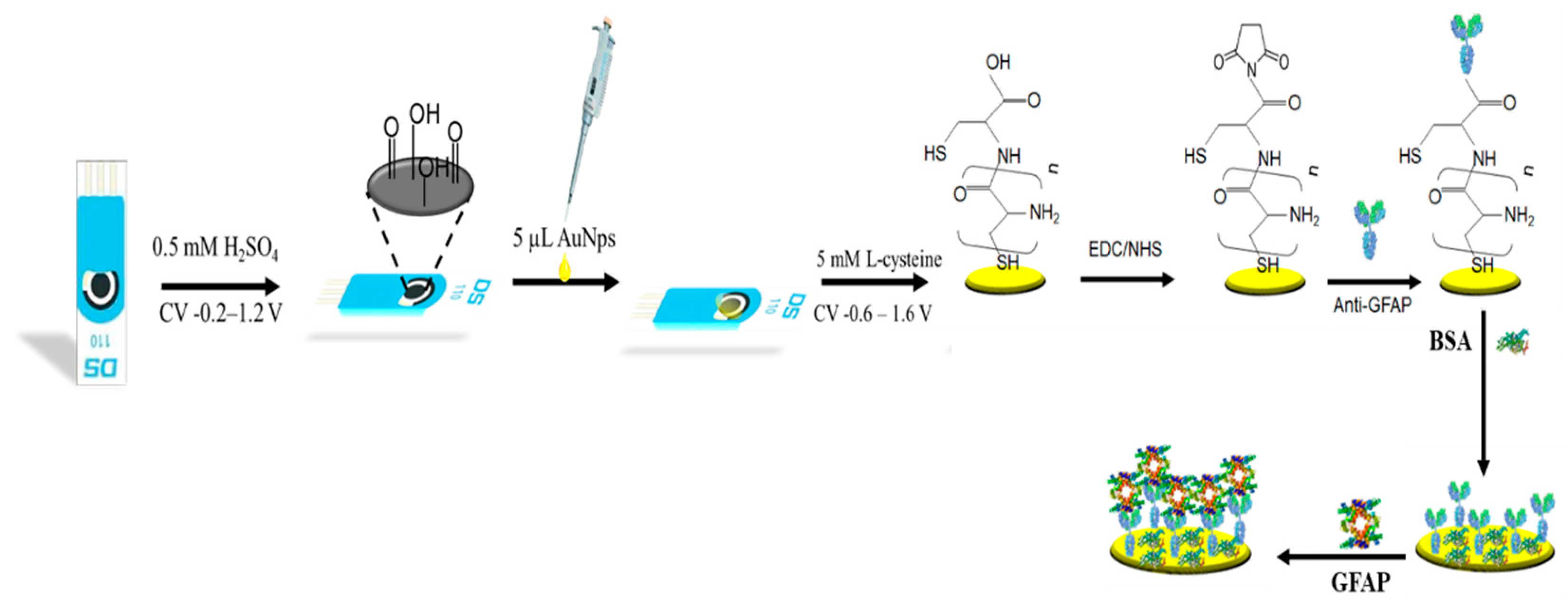 Ultrasensitive Determination of Glial-Fibrillary-Acidic-Protein (GFAP) in Human Serum-Matrix ...