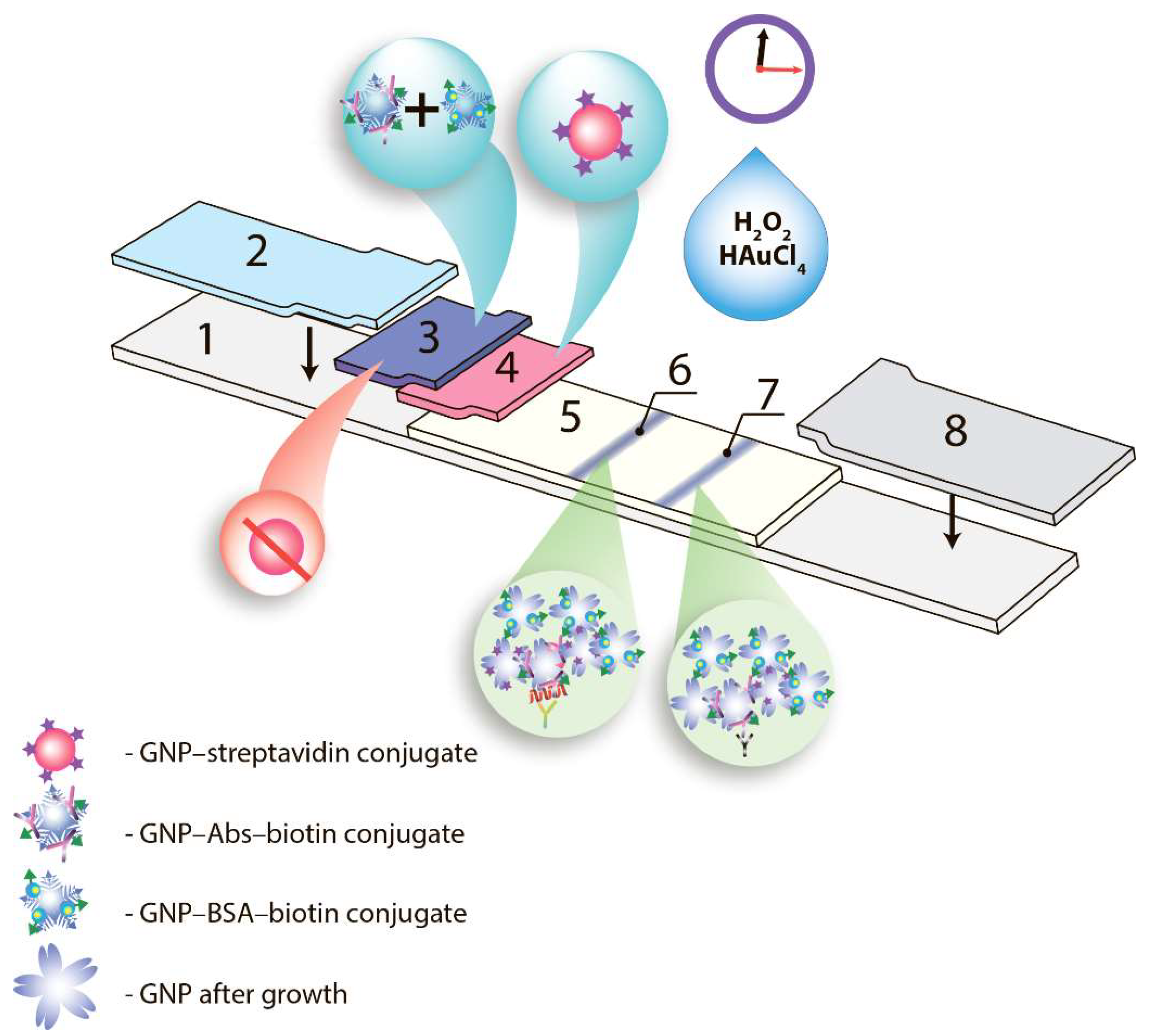 Triple Enhancement for Sensitive Immunochromatographic Assay: A Case ...