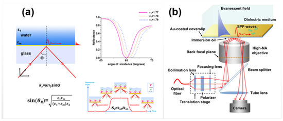 Optical Methods for Label-Free Detection of Bacteria