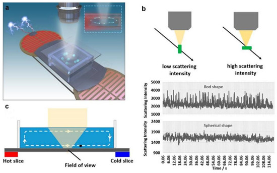 Optical Methods for Label-Free Detection of Bacteria