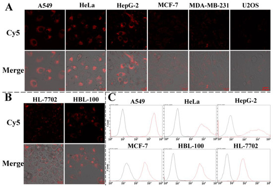 Monitoring and Regulating Intracellular GPX4 mRNA Using Gold Nanoflare ...