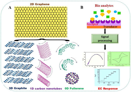Biosensors | Free Full-Text | The Roadmap of Graphene-Based Sensors: Electrochemical Methods for ...