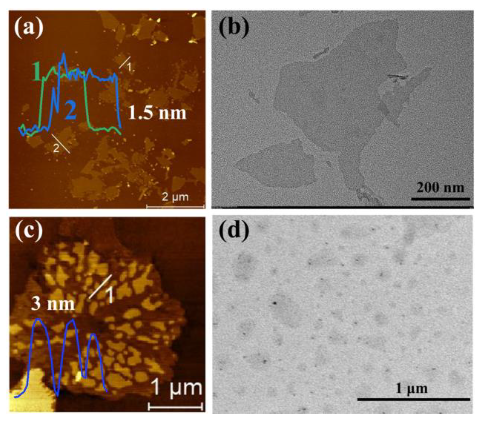 Peptide Nanosheet-Inspired Biomimetic Synthesis of CuS Nanoparticles on ...