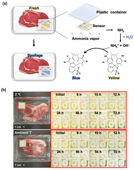 Fabrication of Printable Colorimetric Food Sensor Based on Hydrogel for ...