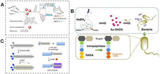 Recent Advances in Colorimetric Sensors Based on Gold Nanoparticles for ...