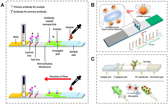 Recent Advances in Colorimetric Sensors Based on Gold Nanoparticles for ...
