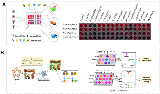Recent Advances in Colorimetric Sensors Based on Gold Nanoparticles for ...