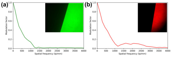 Spectral Multiplexing of Fluorescent Endoscopy for Simultaneous Imaging ...