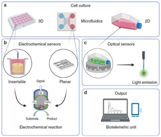 Biosensors | Free Full-Text | Nanotechnology-Enabled Biosensors: A Review of Fundamentals ...