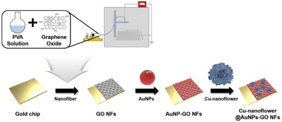 Biosensors | Free Full-Text | Nanotechnology-Enabled Biosensors: A Review of Fundamentals ...