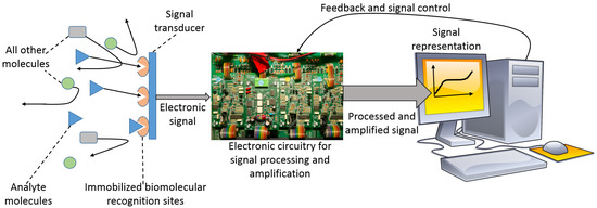 Biosensors: Electrochemical Devices—General Concepts and Performance