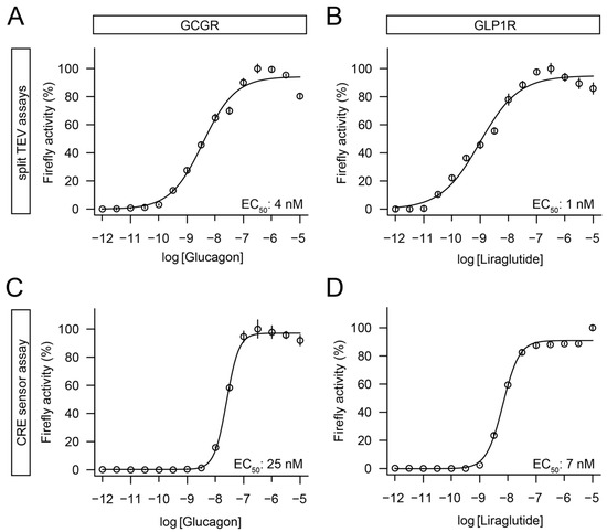 Improved Split TEV GPCR β-arrestin-2 Recruitment Assays via Systematic ...