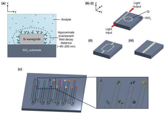 Biofunctionalization of Multiplexed Silicon Photonic Biosensors