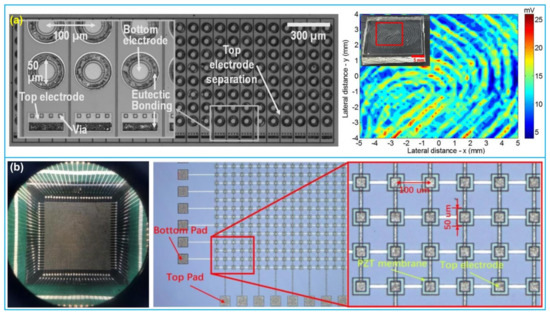 Piezoelectric Micromachined Ultrasound Transducer Technology: Recent ...