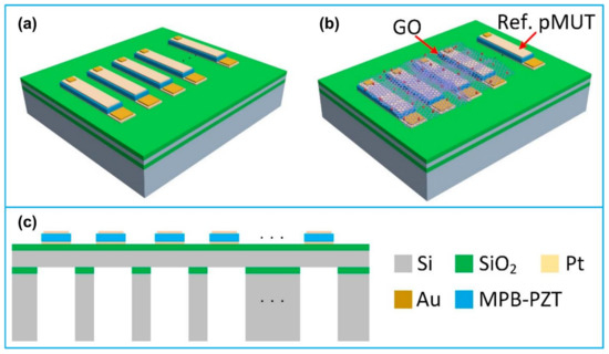 Piezoelectric Micromachined Ultrasound Transducer Technology: Recent ...