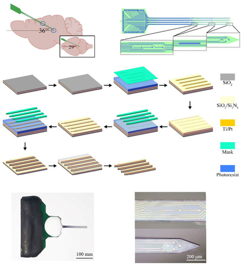 Recent Development of Neural Microelectrodes with Dual-Mode Detection